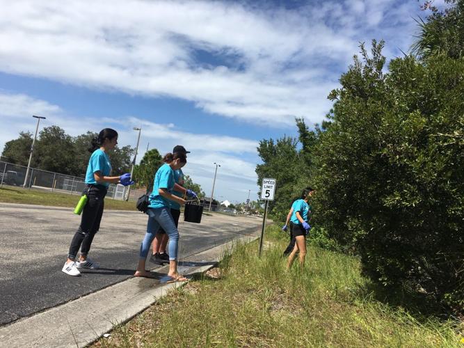 Port Charlotte High students participate in cleanup | Education ...
