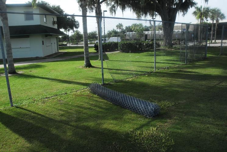 On the field | Newsarchives | yoursun.com