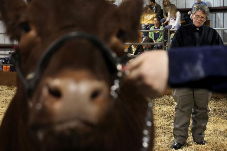 Memories from the fair | News Archives | yoursun.com