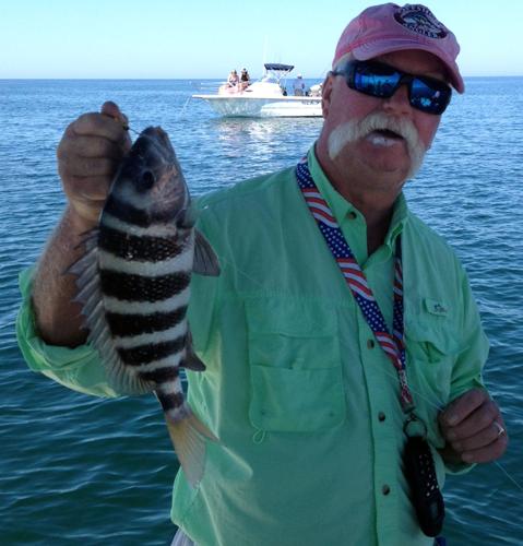 Reader Photos | Waterline | yoursun.com