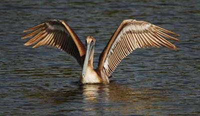 Ready to take off | News Archives | yoursun.com