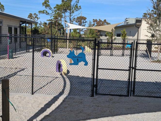 NEW SHELTER: Posh place for potential pets | News | yoursun.com