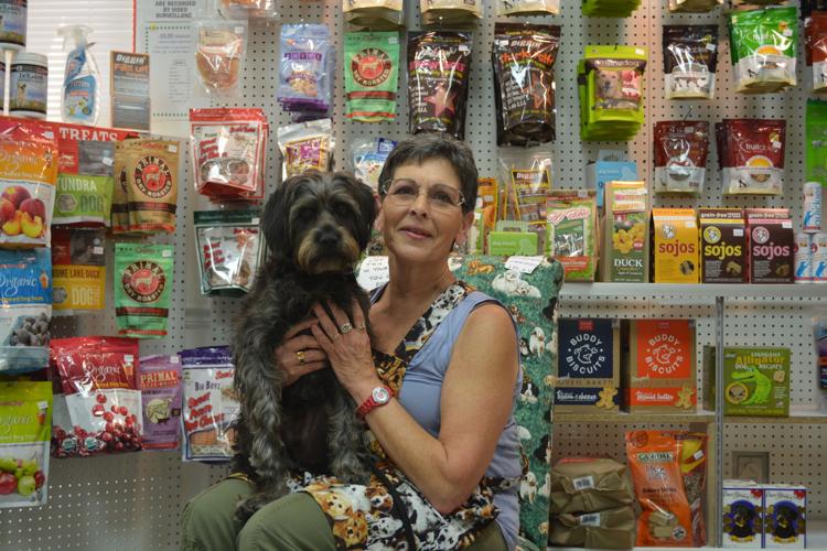 Cats n Dogs to host non-anesthesia dental cleaning clinic for dogs ...