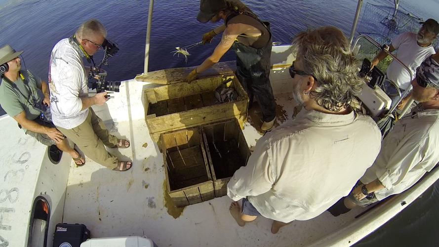 Commercial crabbing in Charlotte Harbor featured in new episode of ...