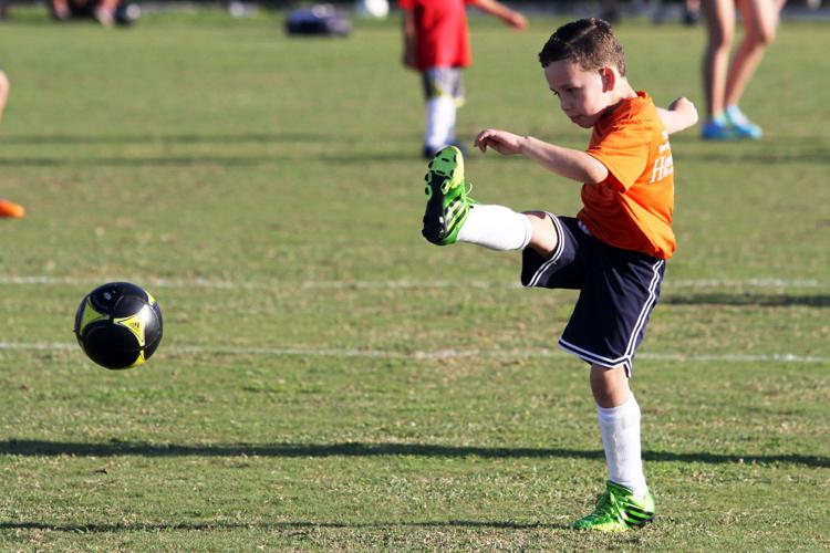 Englewood youth soccer rolling along | News Archives | yoursun.com