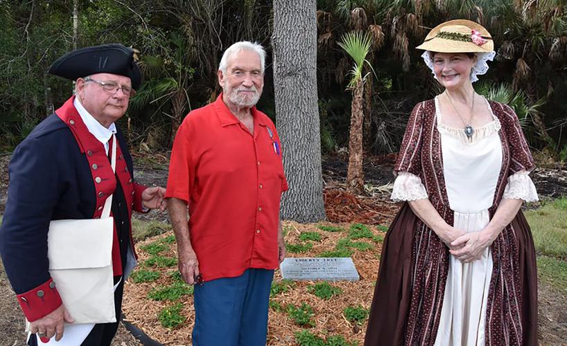 Liberty Tree dedicated at Veterans Park | Multimedia | yoursun.com