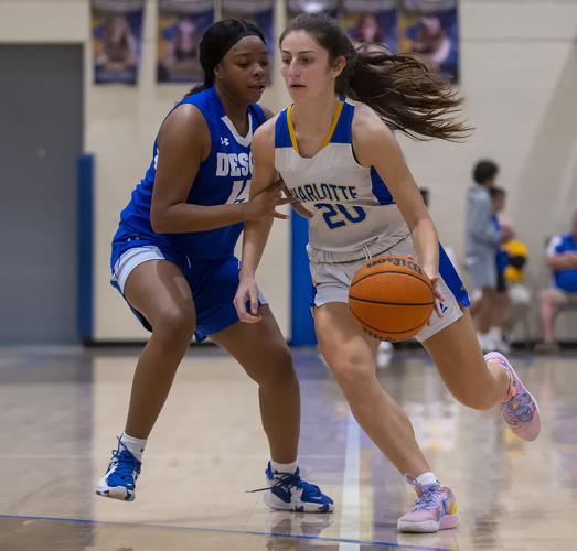 GIRLS BASKETBALL: Tarpons overwhelm Bulldogs | Sun Preps | yoursun.com