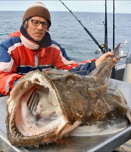 Slack Tides | Waterline | yoursun.com