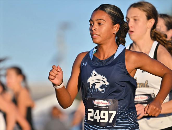 ALL-AREA TRACK AND FIELD: Field athletes brought home the hardware ...
