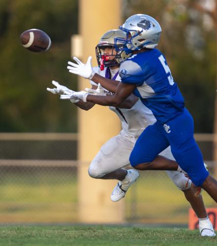 PREP FOOTBALL: Brahmans bull past 'Dogs | Sun Preps | yoursun.com