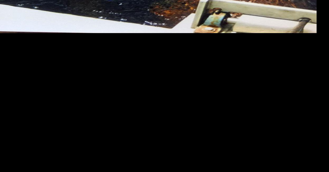 HCA exhibit to fearture art fromrare salvaged sunken cypress logs | Newsarchives | yoursun.com