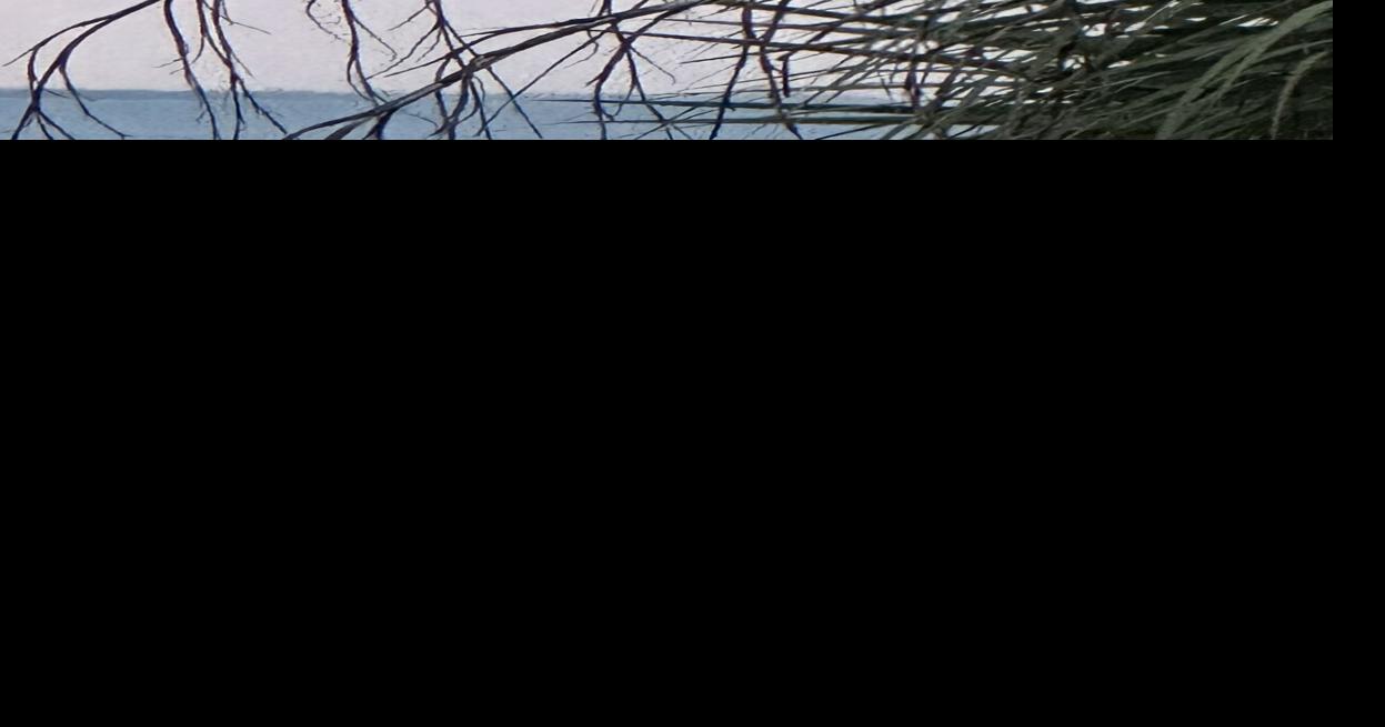 Are you flitting about, like this bird? | Religion | yoursun.com