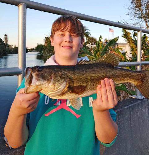 Reader photos | Waterline | yoursun.com