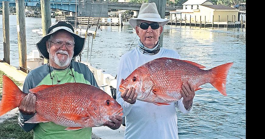 Snook, gag and red snapper too | Waterline | yoursun.com