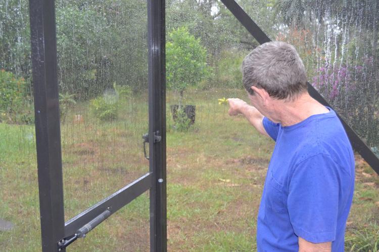 Bear in Sebring backyard ‘biggest I’ve ever seen’ | Newsarchives ...