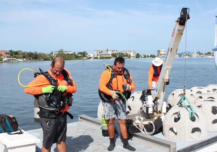 Reef balls installed to revitalize Roberts Bay | | yoursun.com