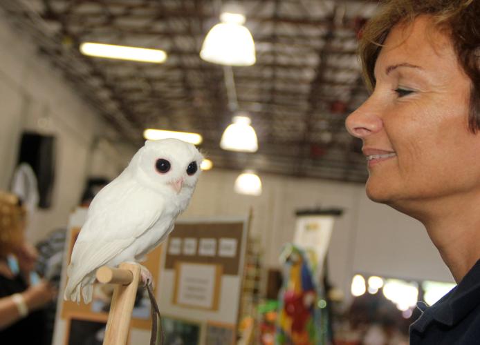 Peace River Wildlife Center to double space in redesigned park | News ...