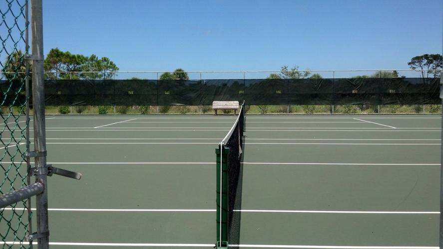 Gators respected, iguanas not welcome at Shamrock Park | News Archives ...