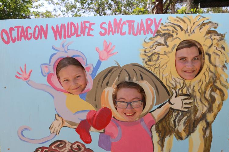 Octagon Wildlife Sanctuary hosts annual community appreciation day ...
