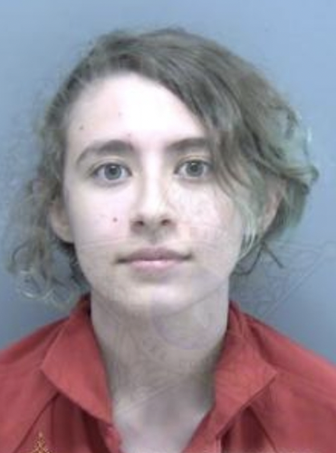 DCSO: Five charged in Toys for Tots theft | News | yoursun.com