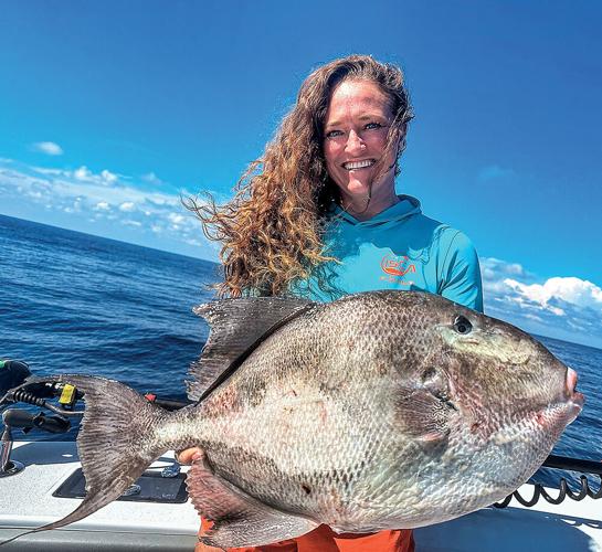 Reader photos | Waterline | yoursun.com