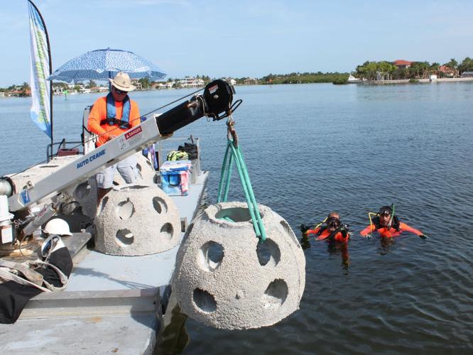 Reef balls installed to revitalize Roberts Bay | | yoursun.com