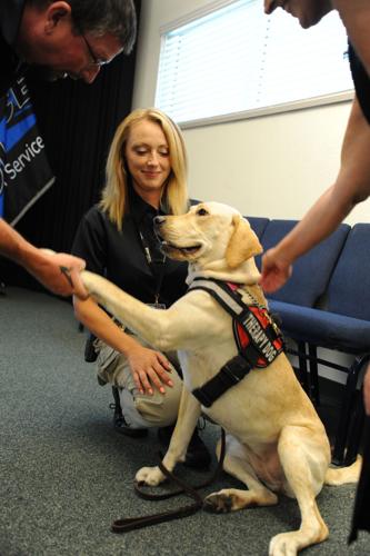 Therapy dog for Winter Haven Police Department introduced to community ...
