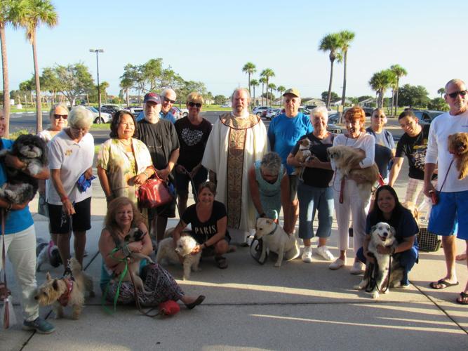Blessing two dozen dogs, and a cat | Port Charlotte News | yoursun.com