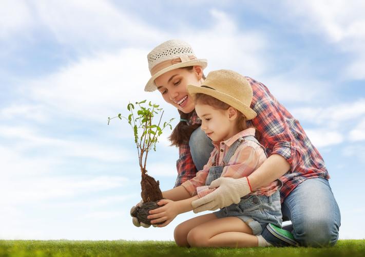 Learn about native trees at the annual Tree Fair | Go! | yoursun.com