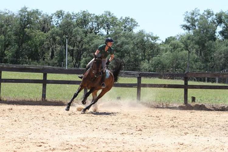 Ridge Riders 4H Charity Horse Show a success | Newsarchives | yoursun.com