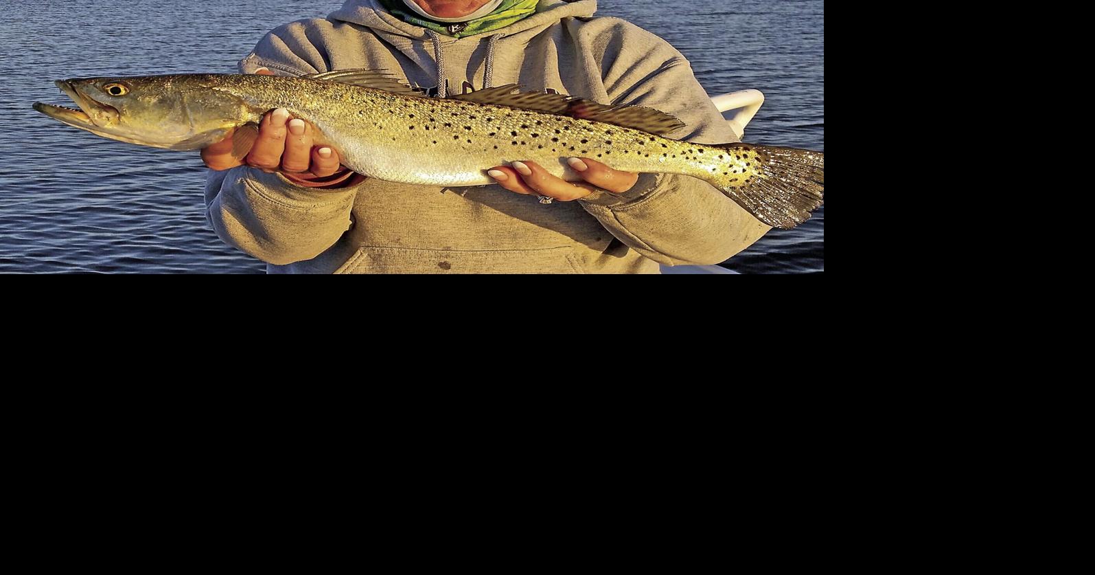 Cold, glorious cold | Waterline | yoursun.com