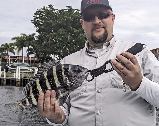 Reader photos | Waterline | yoursun.com