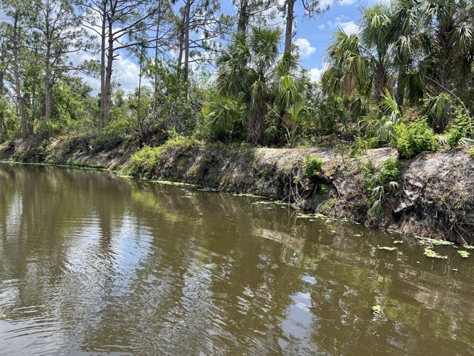 North Port clears creek to enhance stormwater system | News | yoursun.com