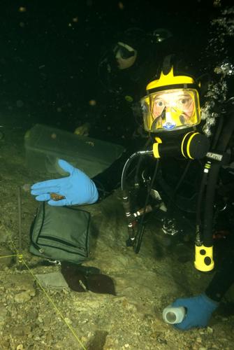 Support running high for Little Salt Spring acquisition | News Archives ...