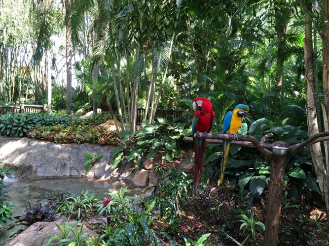 Some of the best amusement parks in Florida -- that aren't Disney or Universal | | yoursun.com