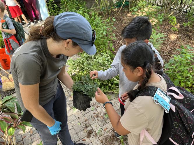 Project aims to give kids a love of nature | News | yoursun.com