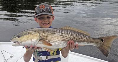 Getting schooled on redfish | Waterline | yoursun.com