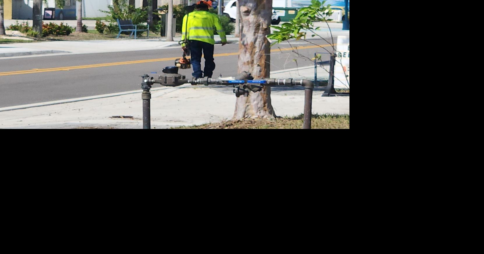 Dearborn Street landscaping stuck in limbo | The Daily Sun | yoursun.com
