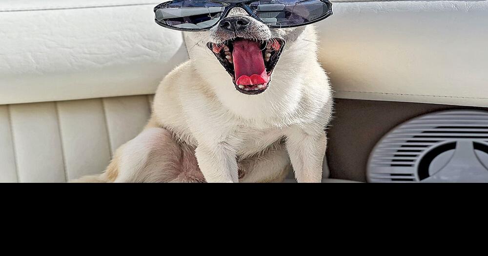 Hide your eyes | Waterline | yoursun.com