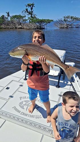 Reader photos | Waterline | yoursun.com