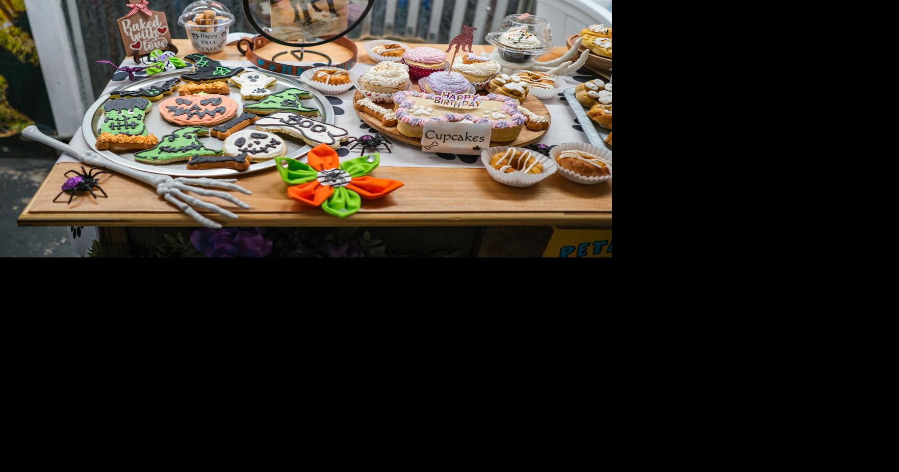 These upscale pet bakeries specialize in birthday cakes and other ...