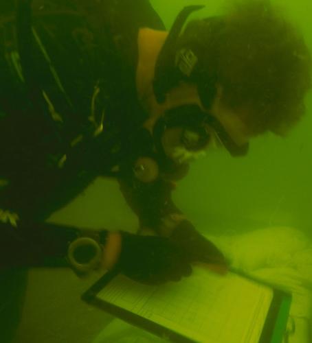 Researchers learning from Manasota burial site | News | yoursun.com