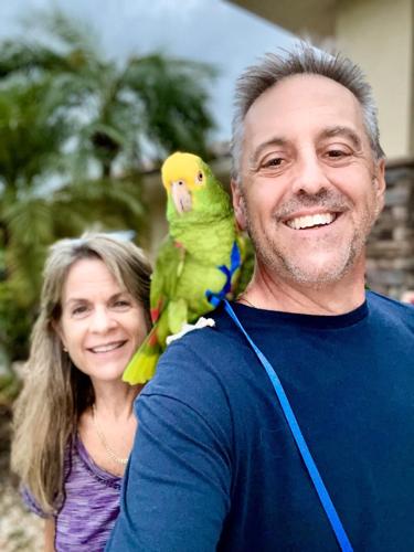 The local parrot superstar | News | yoursun.com