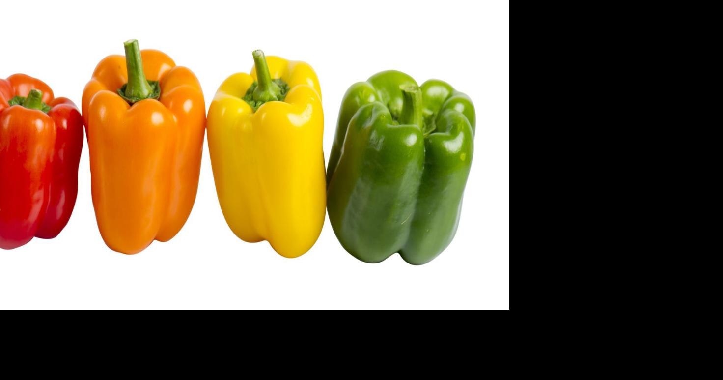 Shining the spotlight on bell peppers | Newsarchives | yoursun.com