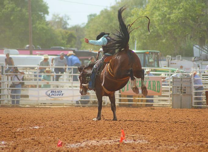 Arcadia rodeo wraps up today | News Archives | yoursun.com