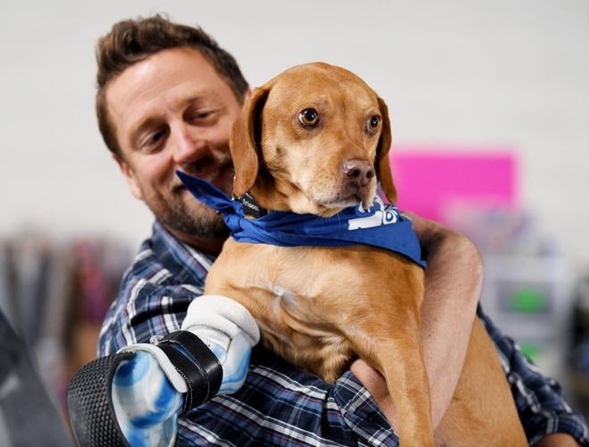 Prosthetics for animals on 'The Wizard of Paws' | Daily Break | yoursun.com