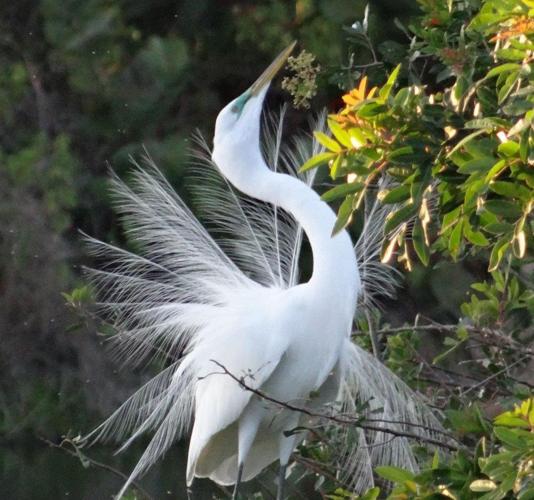 Untitled Story | News Archives | yoursun.com