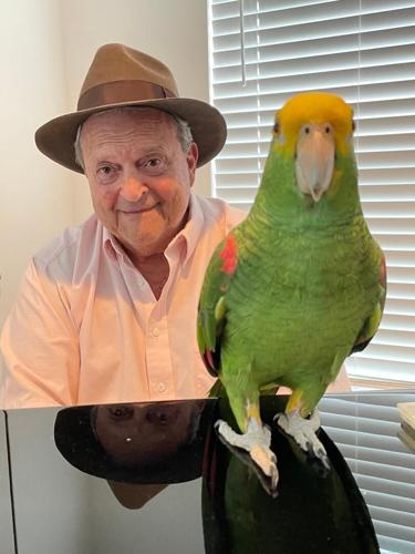 The local parrot superstar | News | yoursun.com