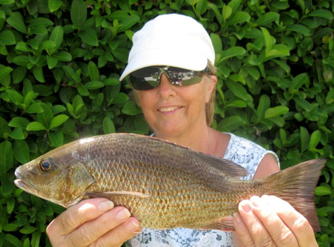 Reader Photos | Waterline | yoursun.com