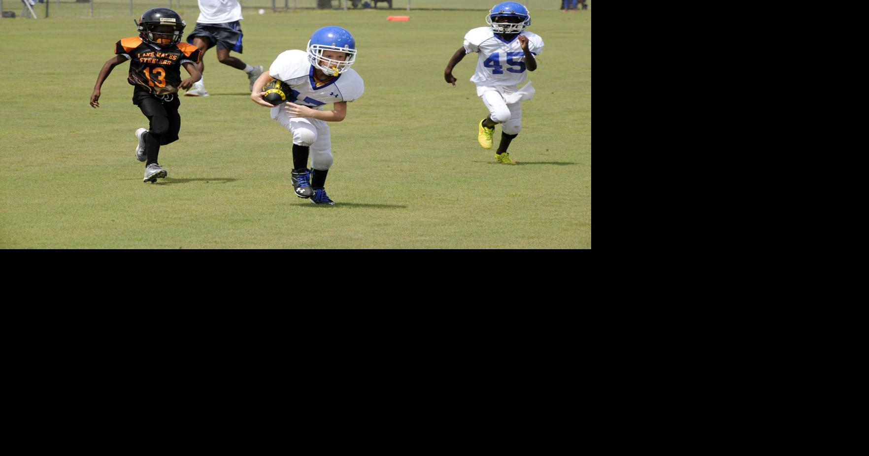 Sebring Mighty Mite, flag teams win openers | Newsarchives | yoursun.com